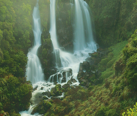 Our Mission | Our Daily Bread Ministries