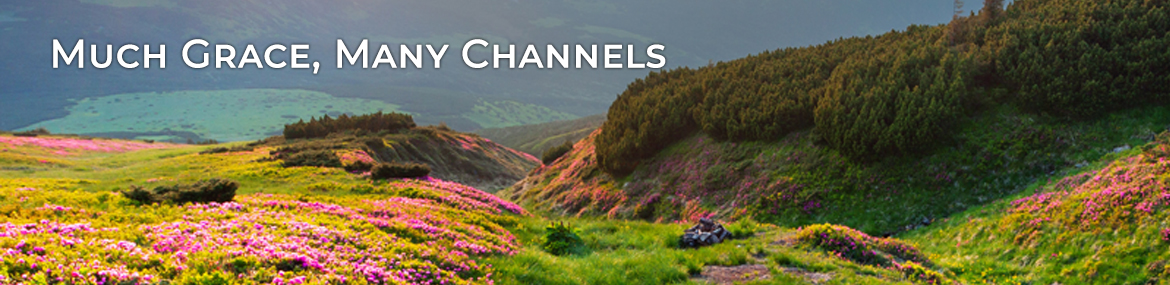 Much Grace, Many Channels | Our Daily Bread Ministries
